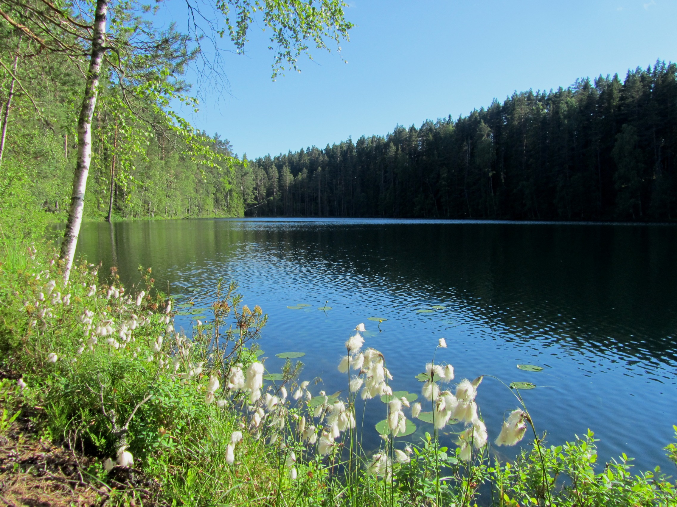 Sommarbilder från Bergslagen | Bergslagsbilder