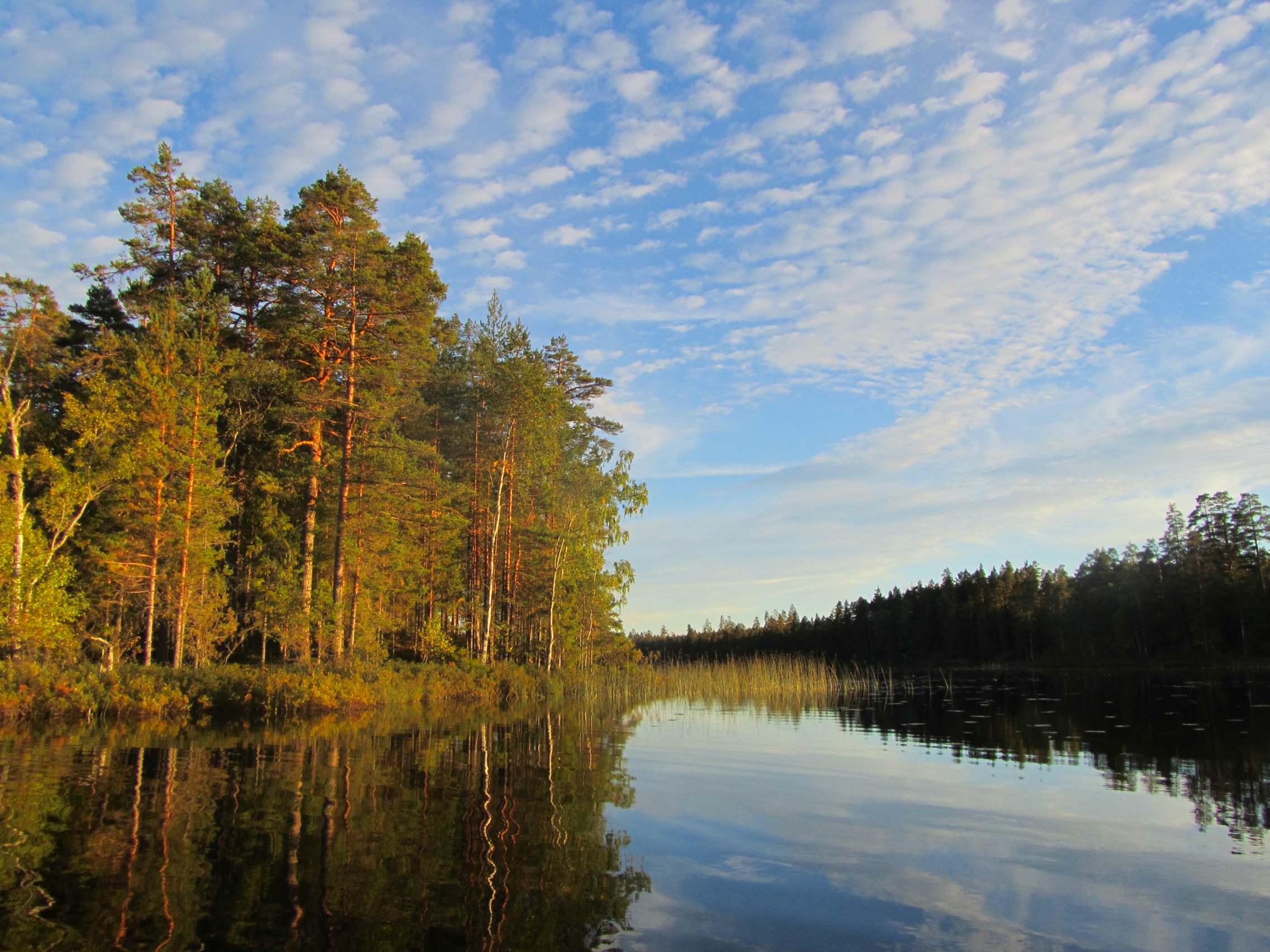 Sommarbilder från Bergslagen | Bergslagsbilder